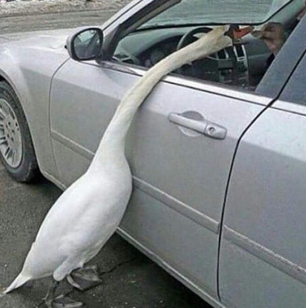 So glad I got to meet Adam Ondra | Scrolller