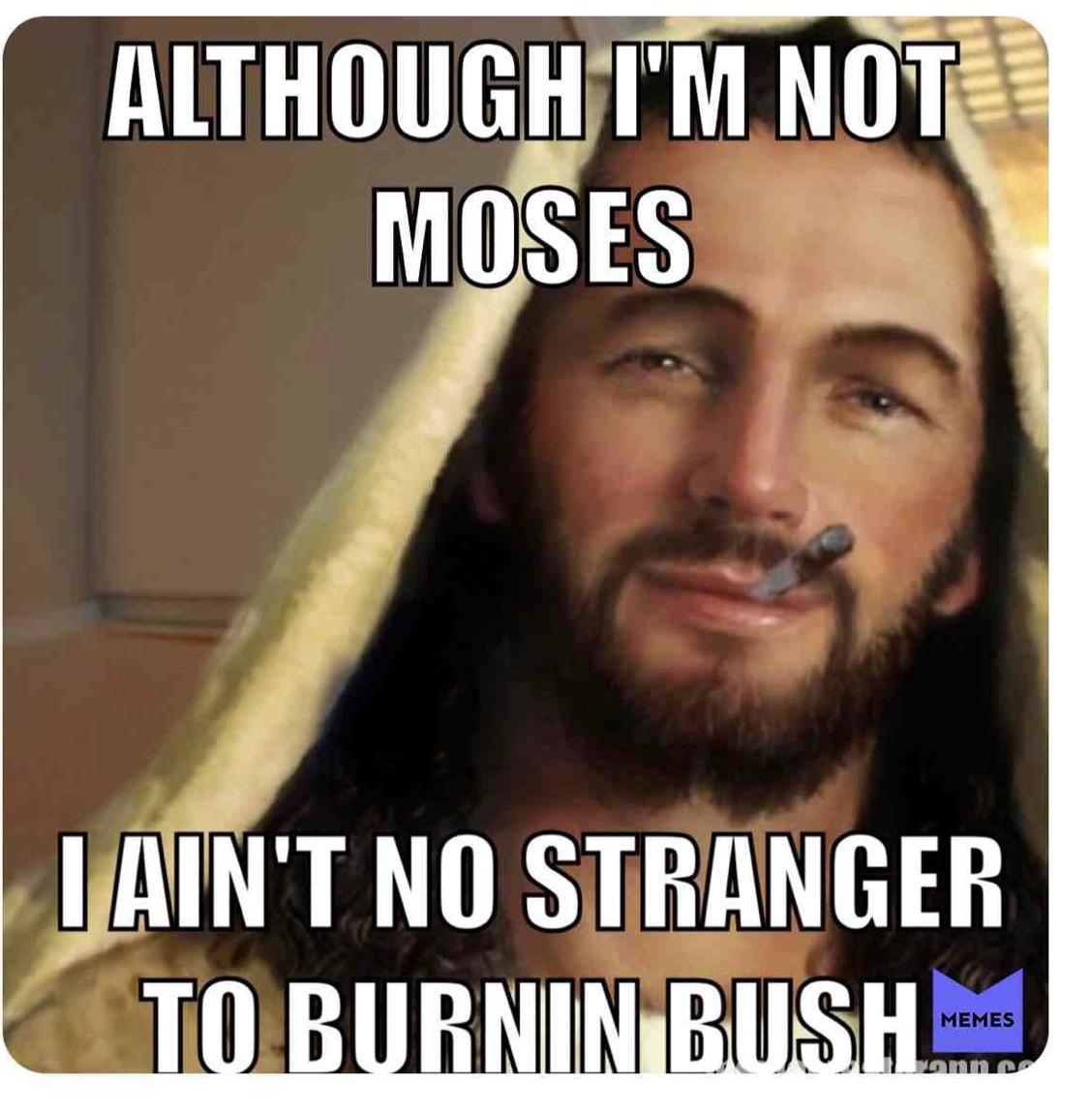 So I did a thing… | Scrolller