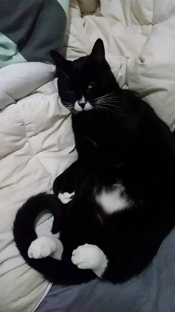 Sock Feetsies | Scrolller