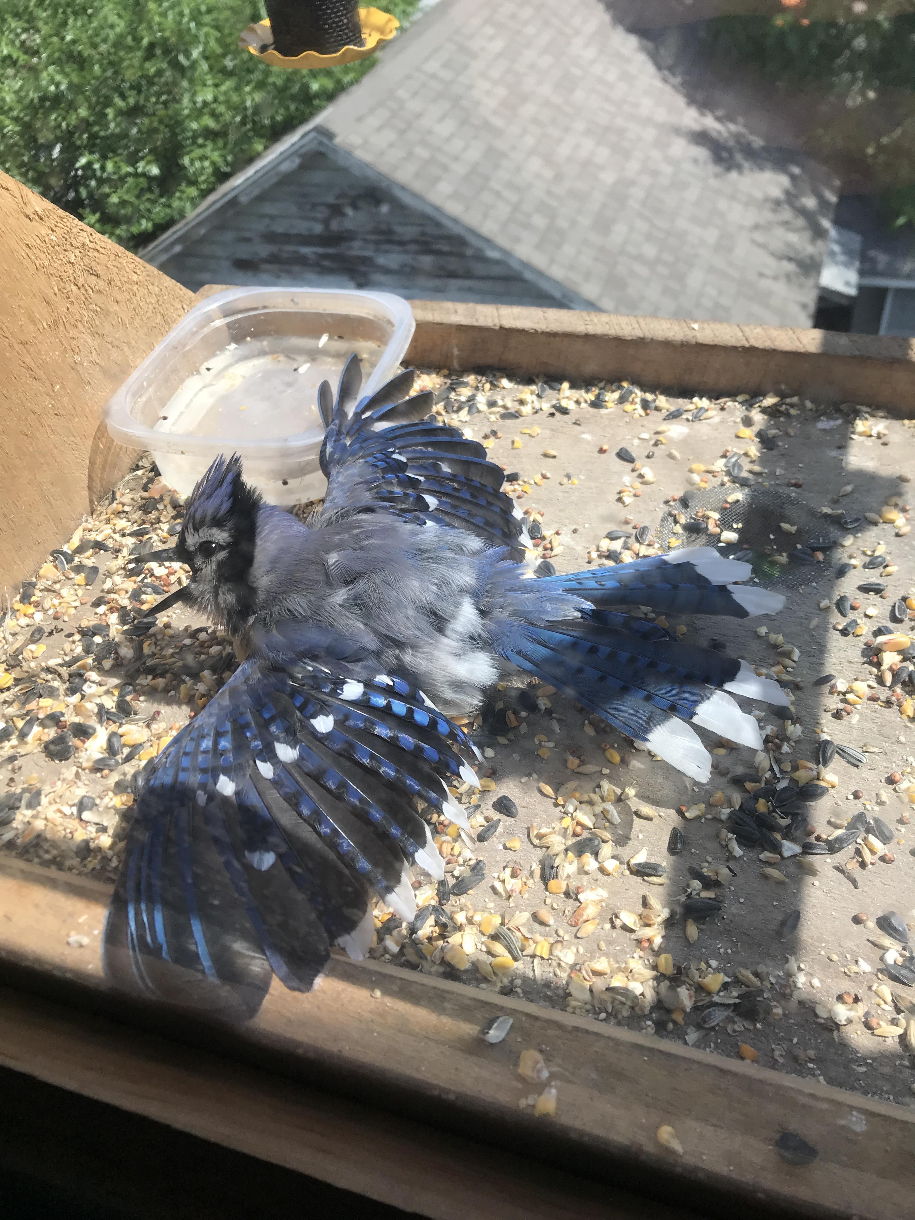 Solar-powered | Scrolller