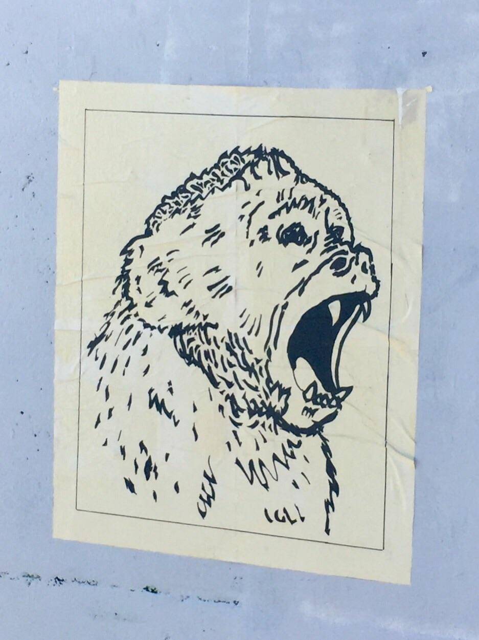 Some more monkey mischief! | Scrolller