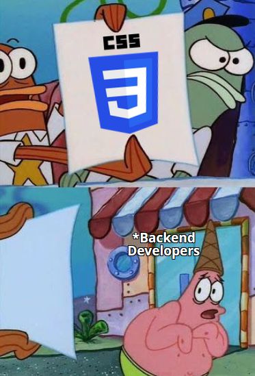 some people hate css and others pretend to like | Scrolller