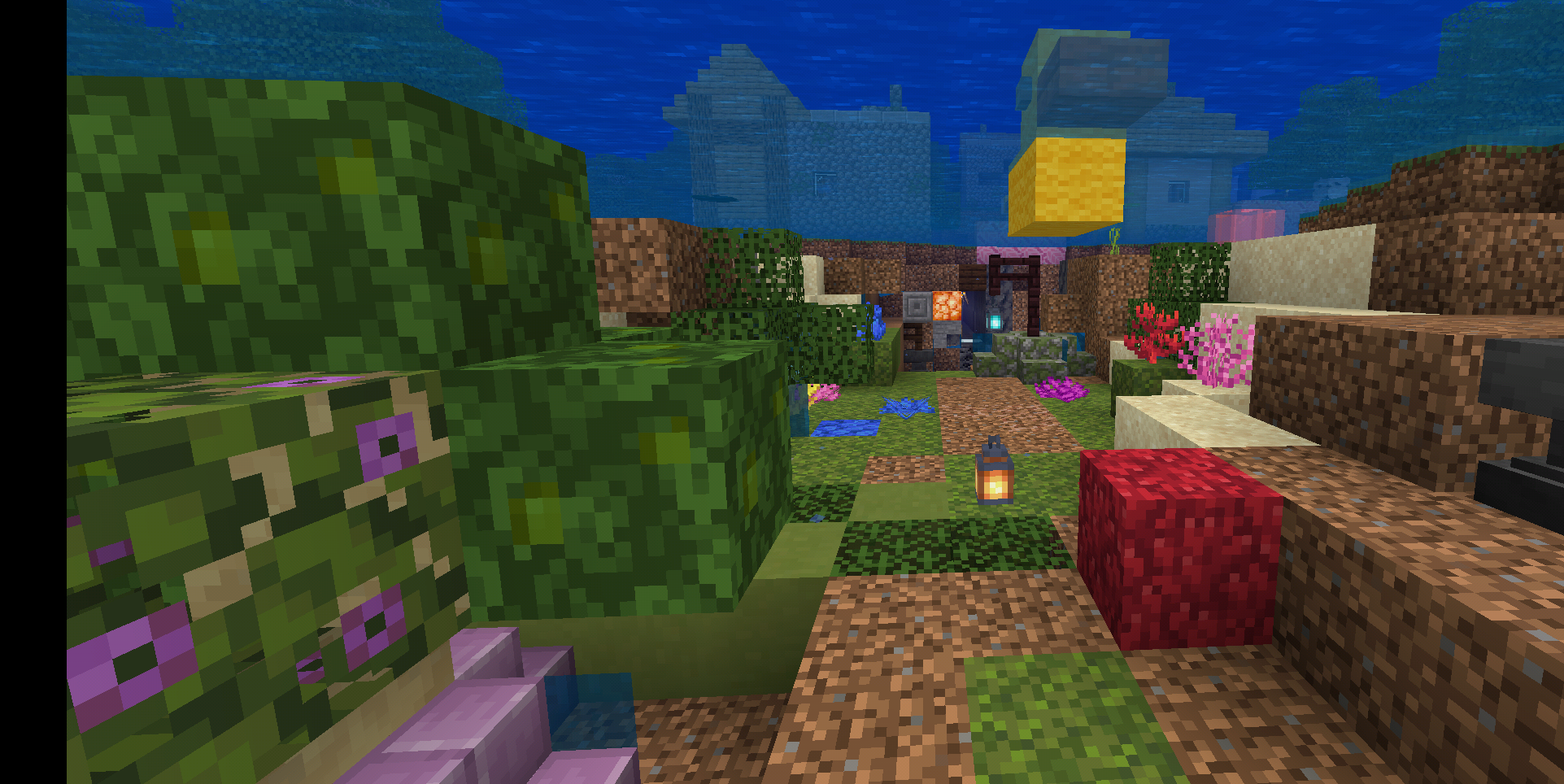 Some underwater landscaping | Scrolller