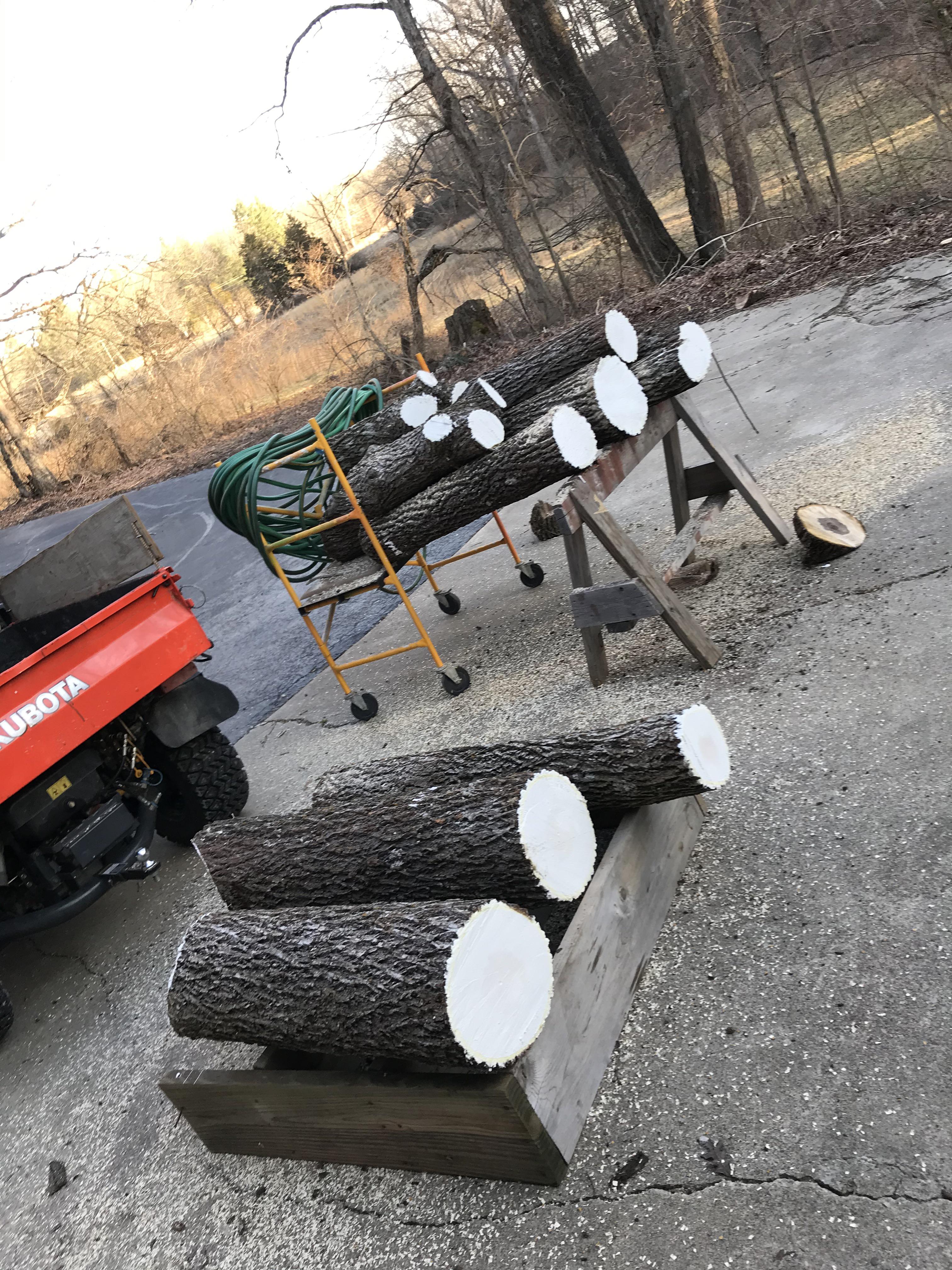 Some walnut from some trees I planted 30 years ago. Sold the property and saw that the new ...