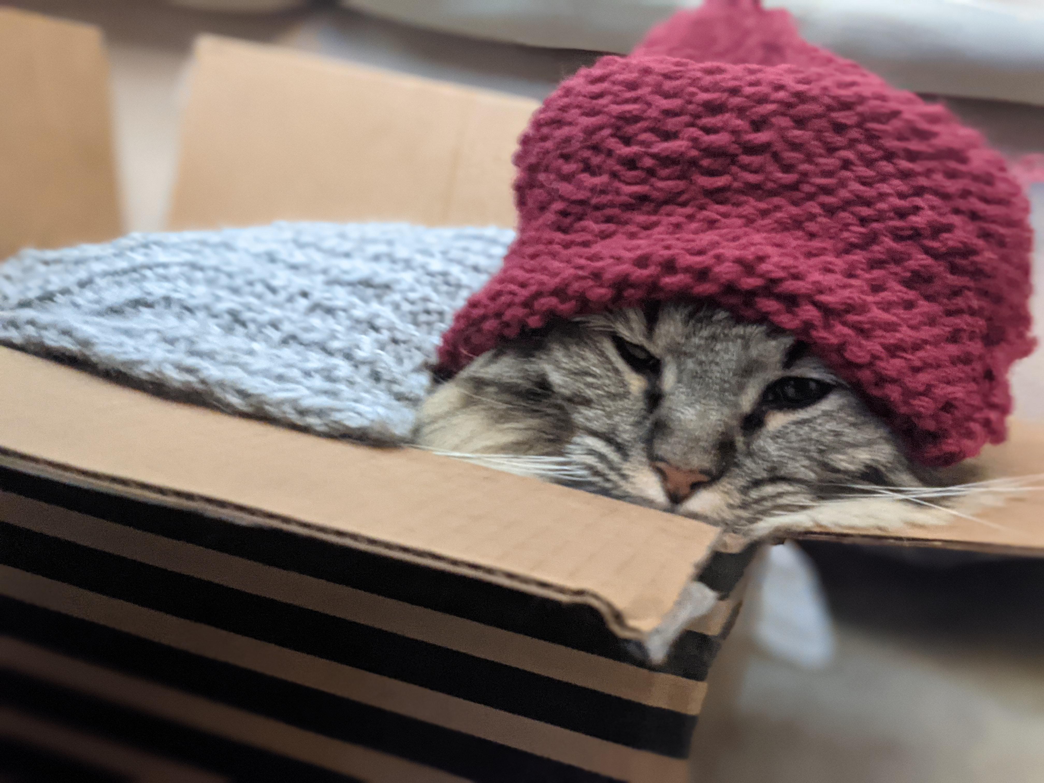 Somebody get him a latte | Scrolller