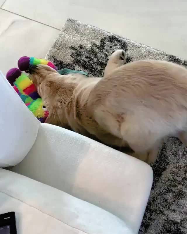 Someone got caught being weird | Scrolller