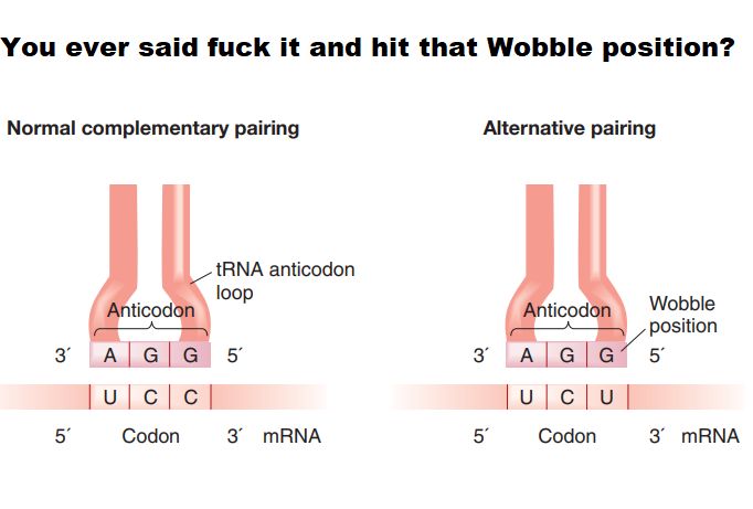 Sometimes there's no other choice | Scrolller