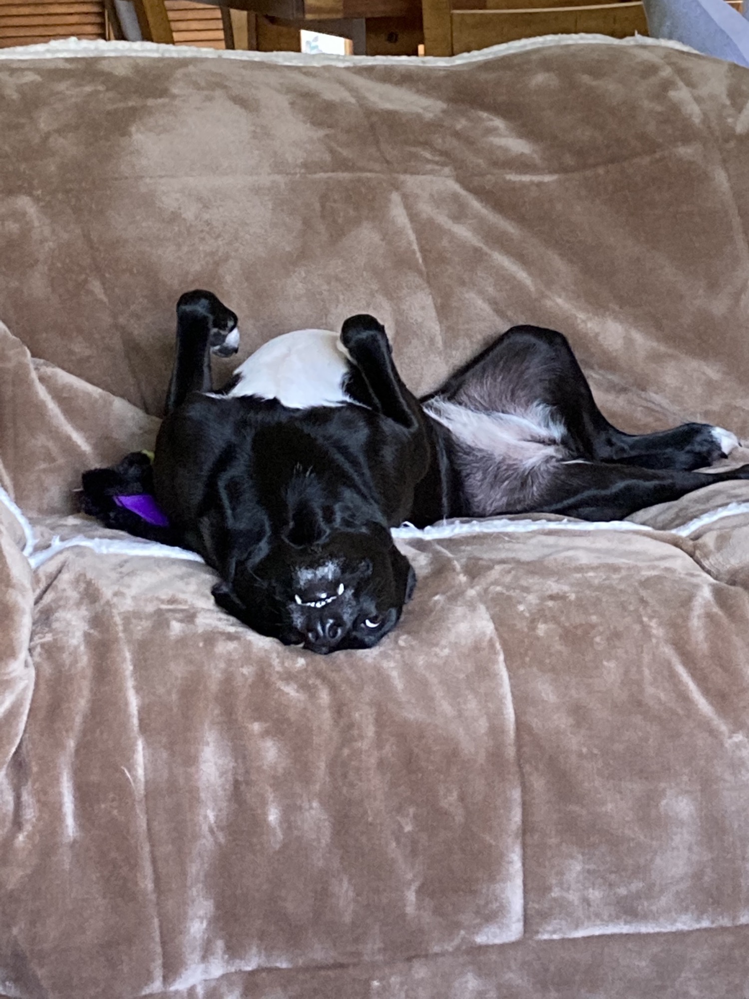 Sooo boorrred | Scrolller