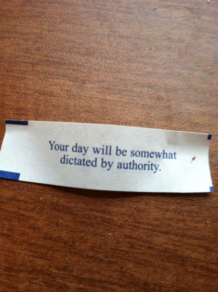 Sounded menacing at first, but actually quite reasonable | Scrolller