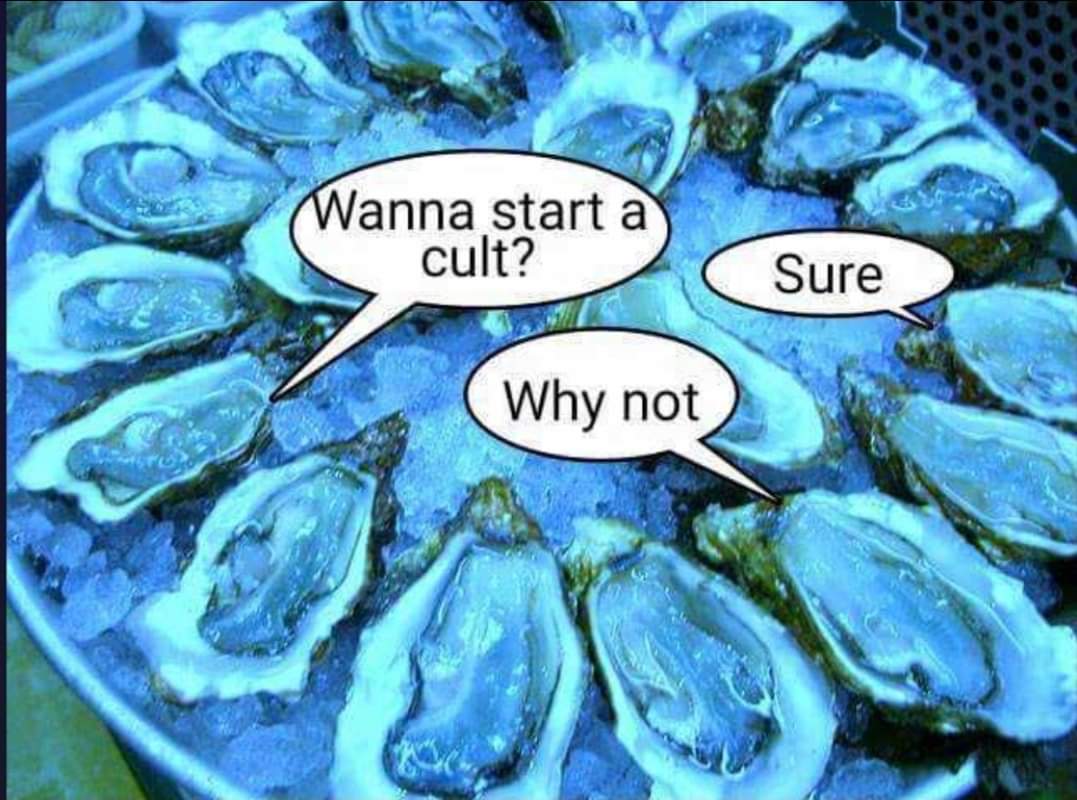 Source: Malarkey | Scrolller