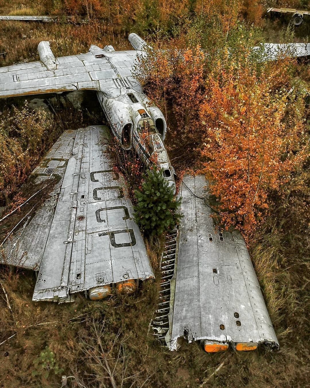 Soviet Aircraft decaying in autumn forest | Scrolller