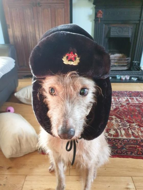 Soviet Womble face reveal | Scrolller