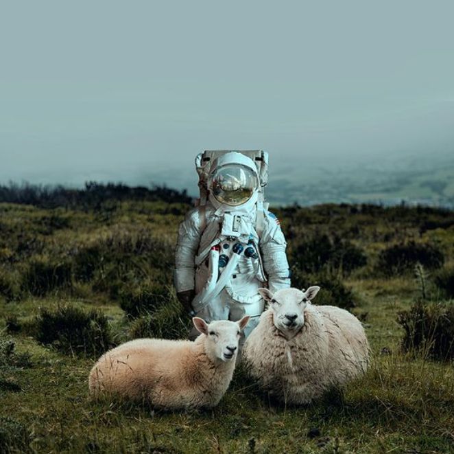 🌌Space Sheep Collective🐑 | Scrolller