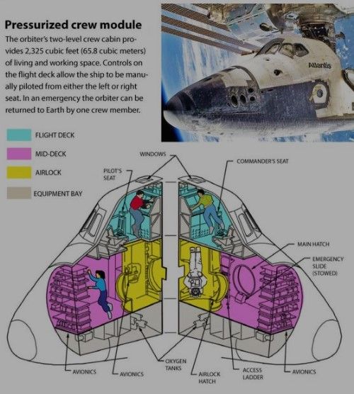 Space Shuttle Orbiter Cutaway [500x556] | Scrolller