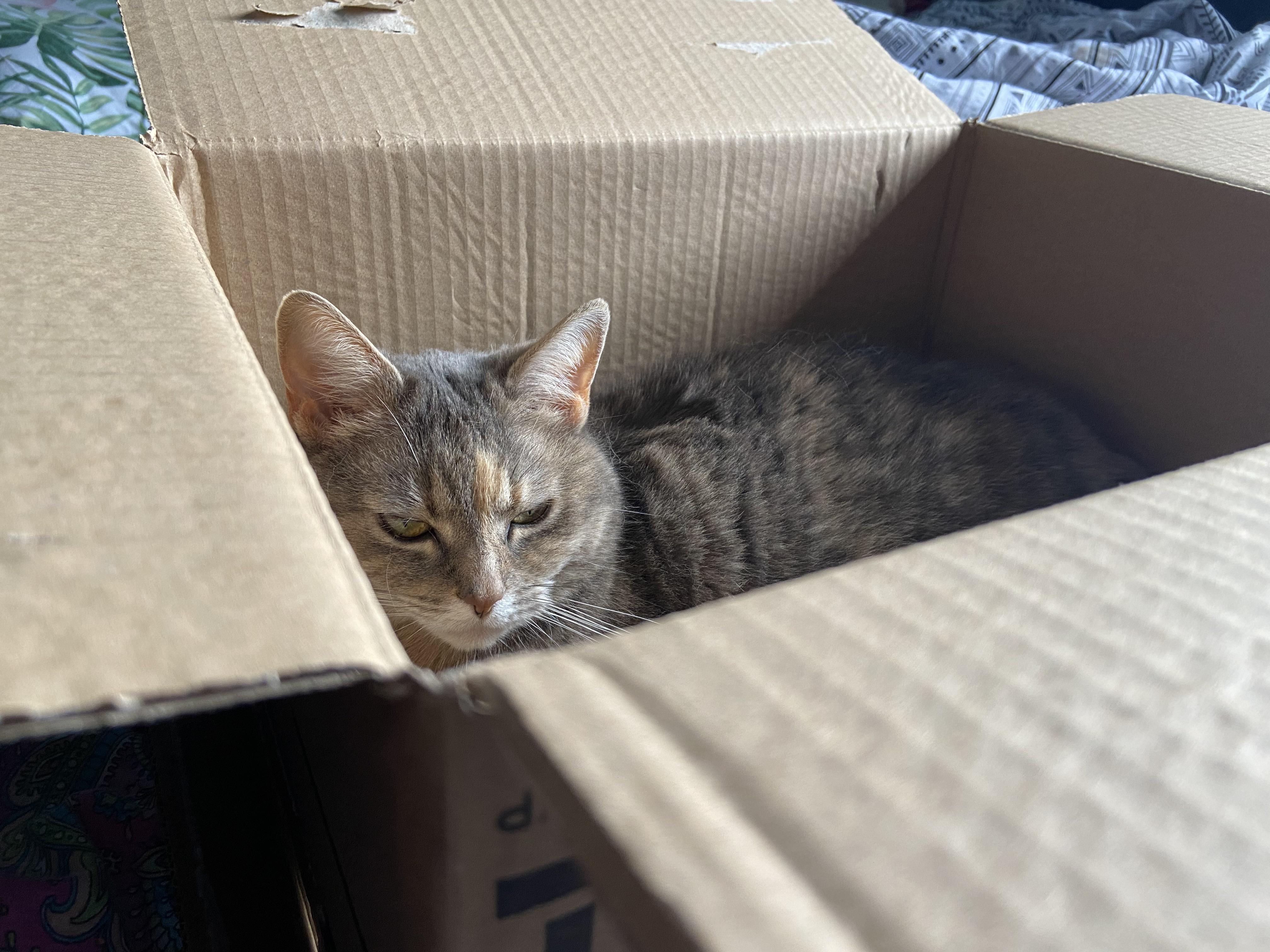 Special delivery | Scrolller