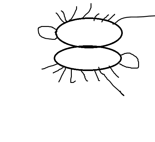 spoder 69 | Scrolller