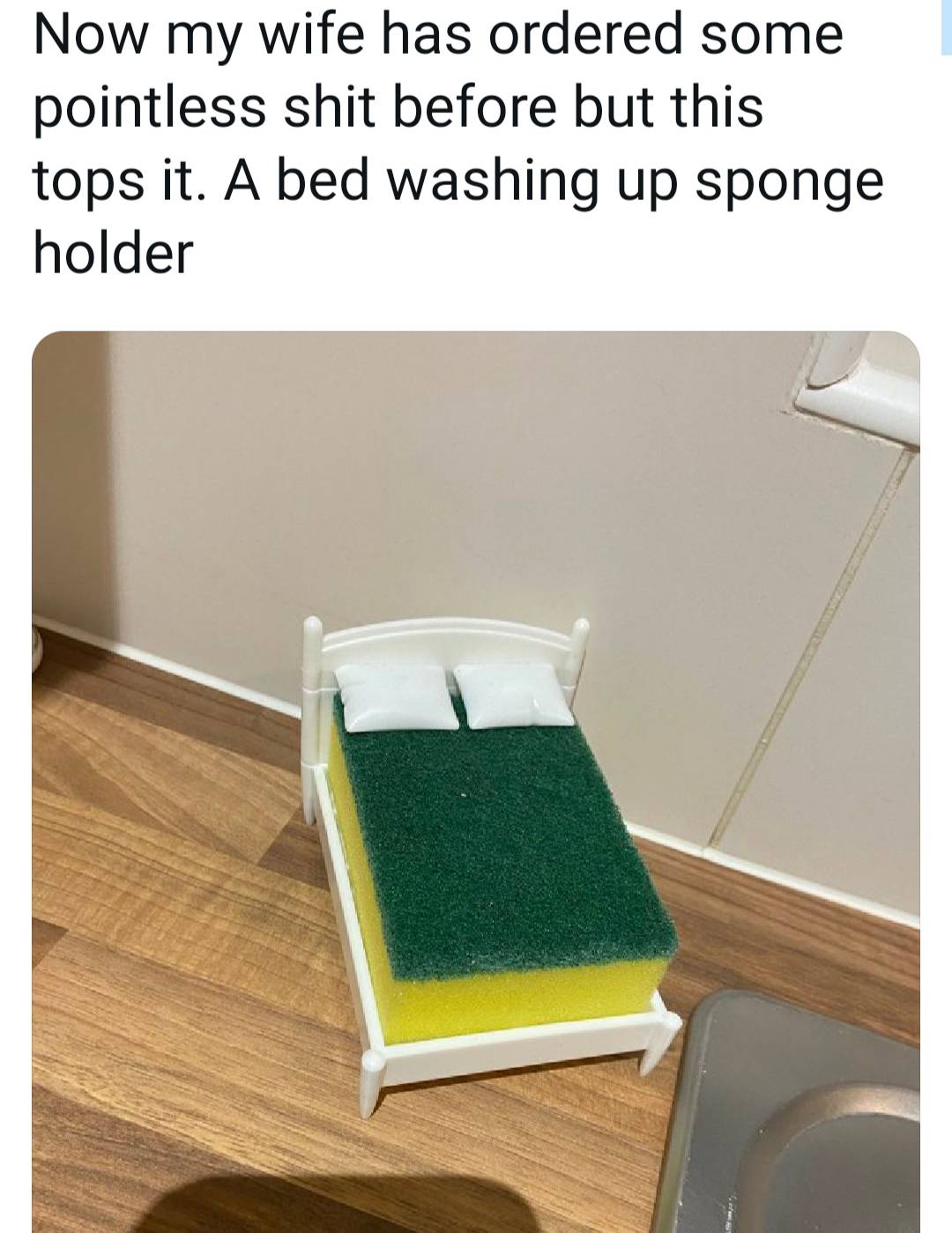 sponge bed | Scrolller