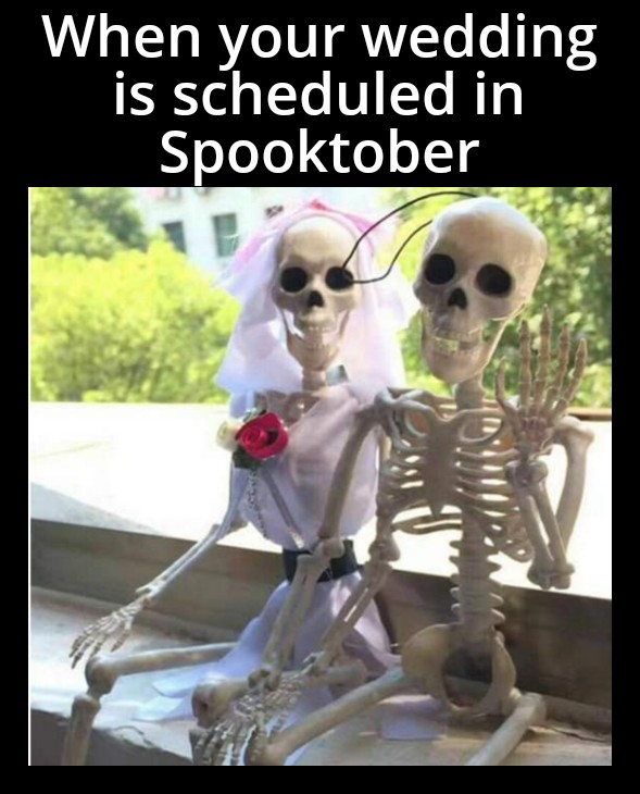 Spook 100 | Scrolller