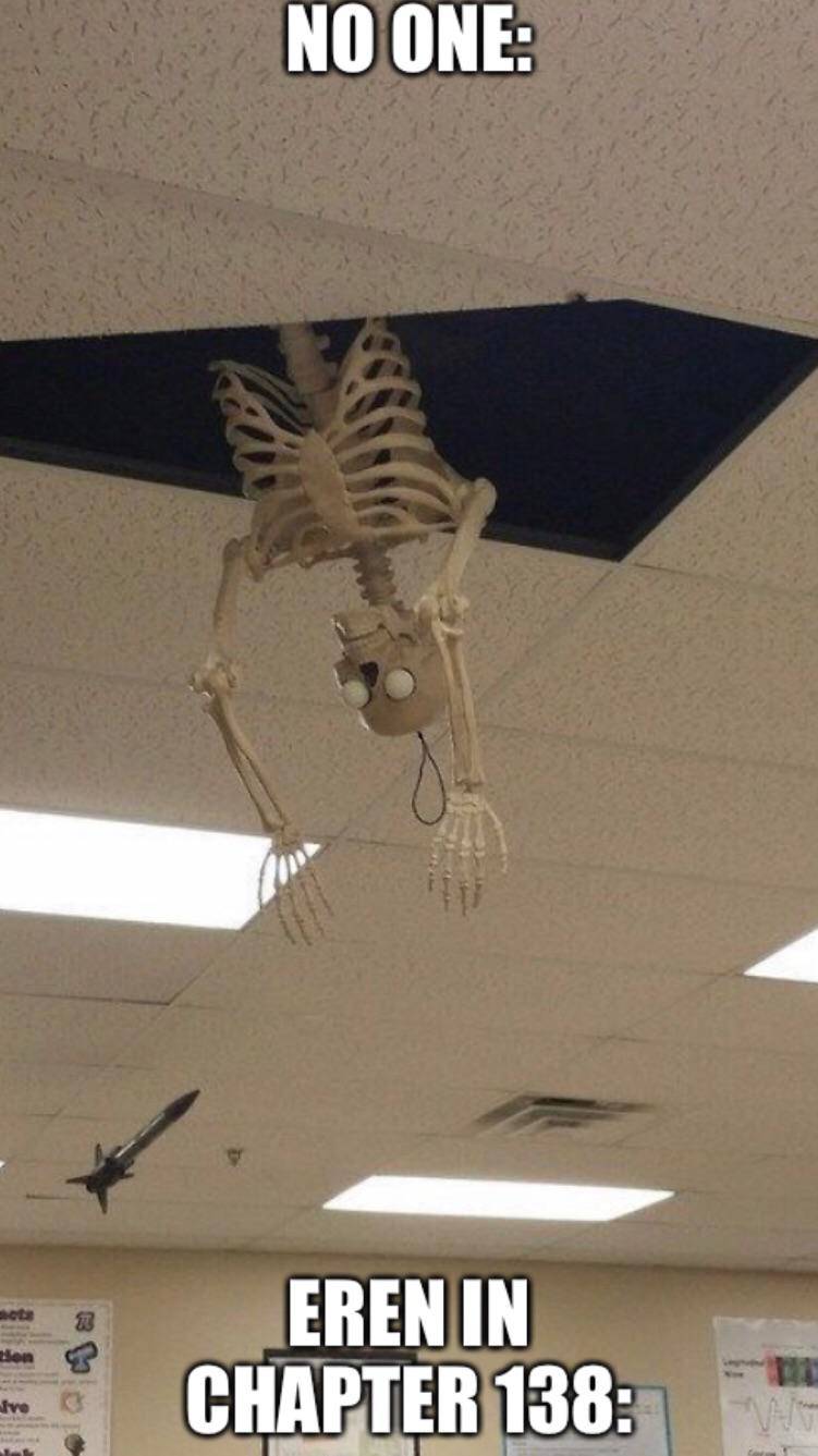 spooky scary skeleton | Scrolller