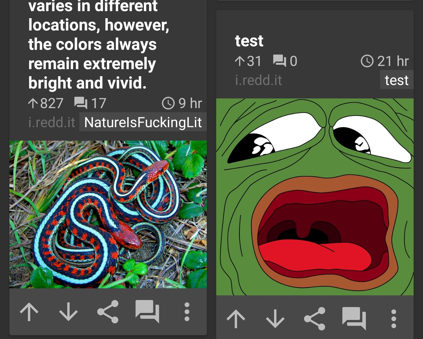 Spooky snake | Scrolller