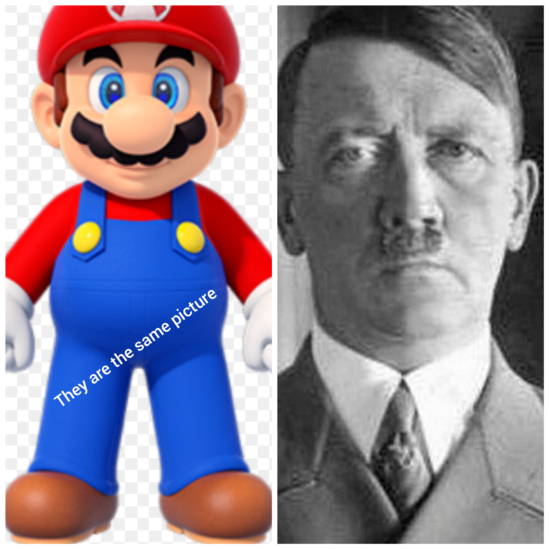 Spot the difference | Scrolller