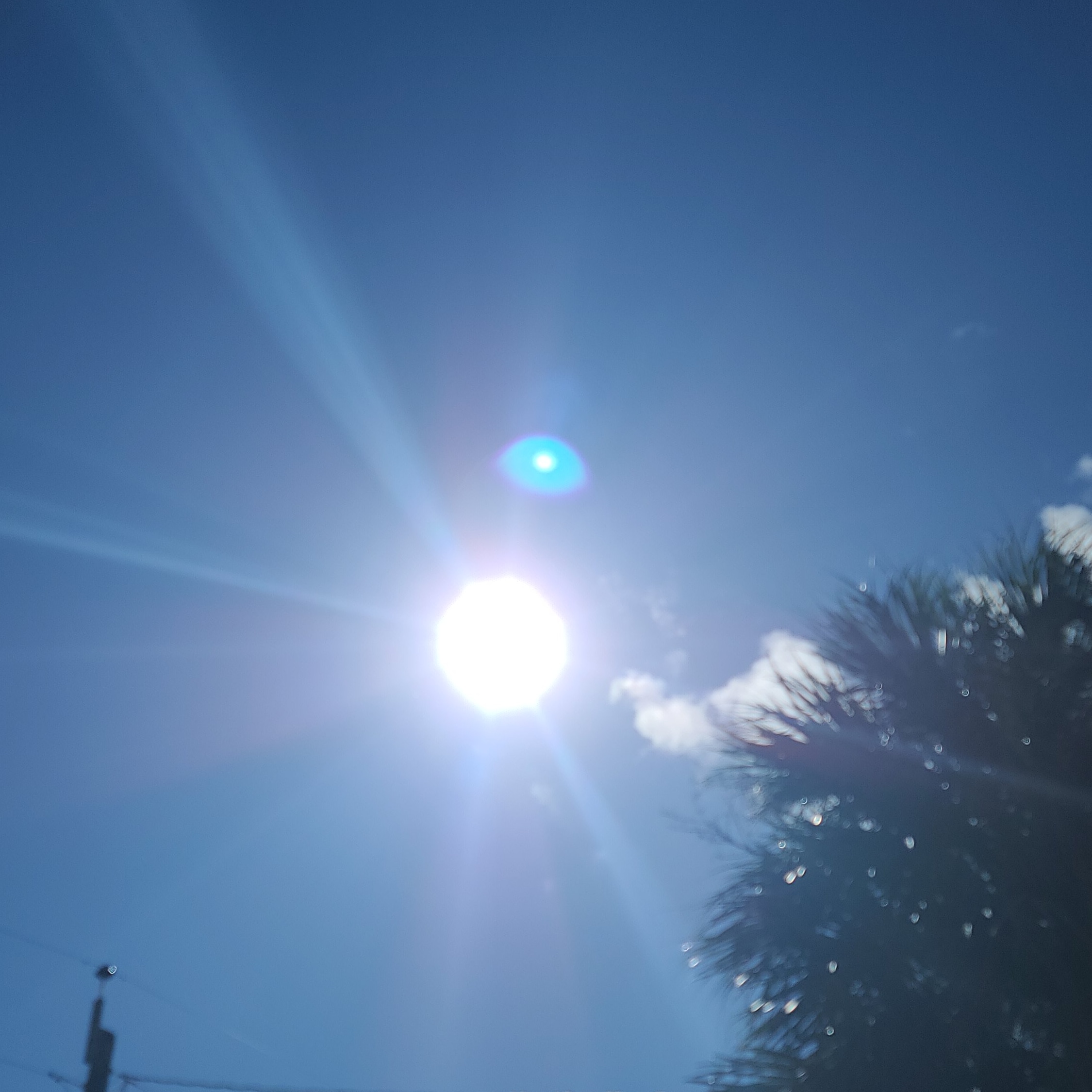 Spring break in FortLauderdale. The Sun is Hot 🔥 in Fort Lauderdale. | Scrolller