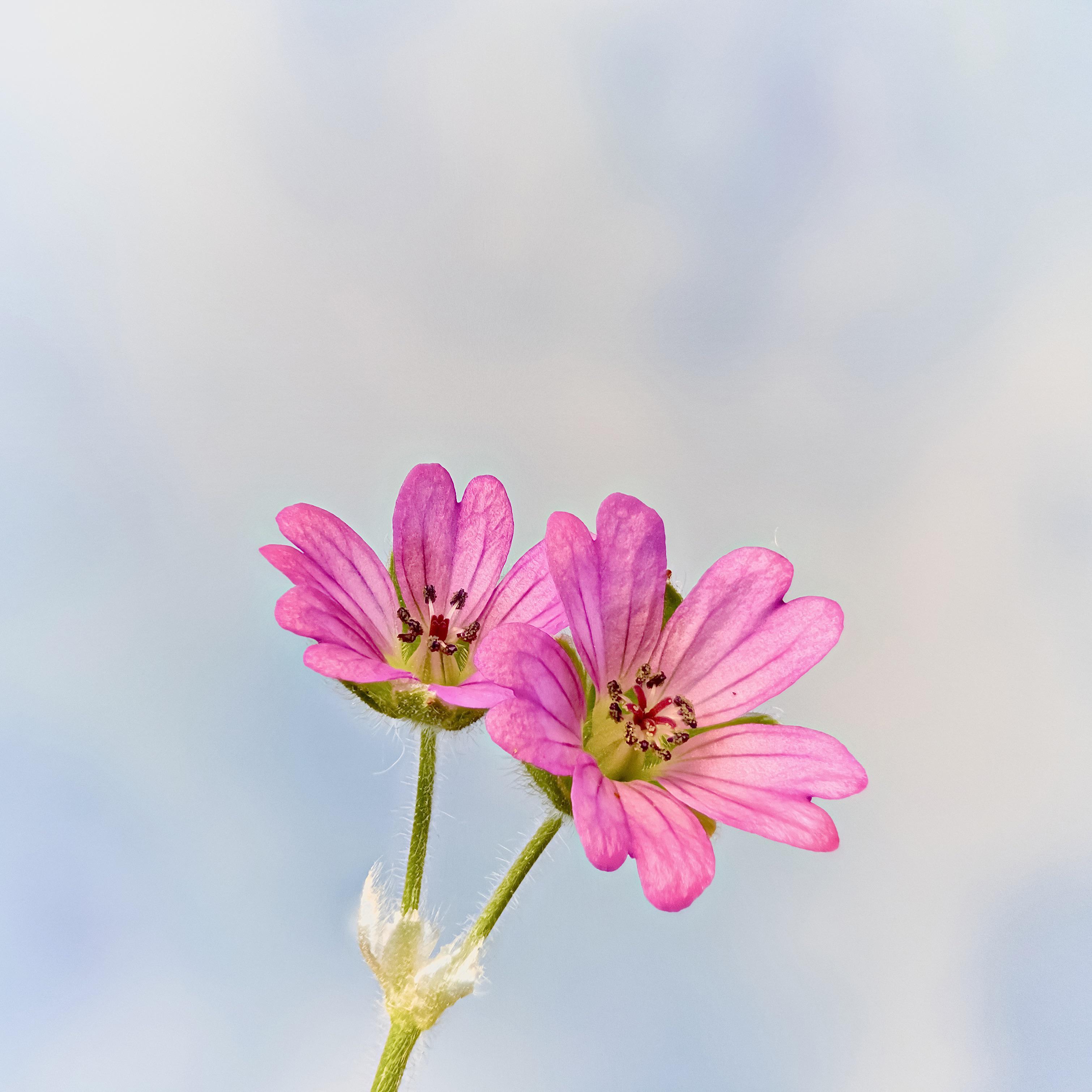 Spring colors | Scrolller