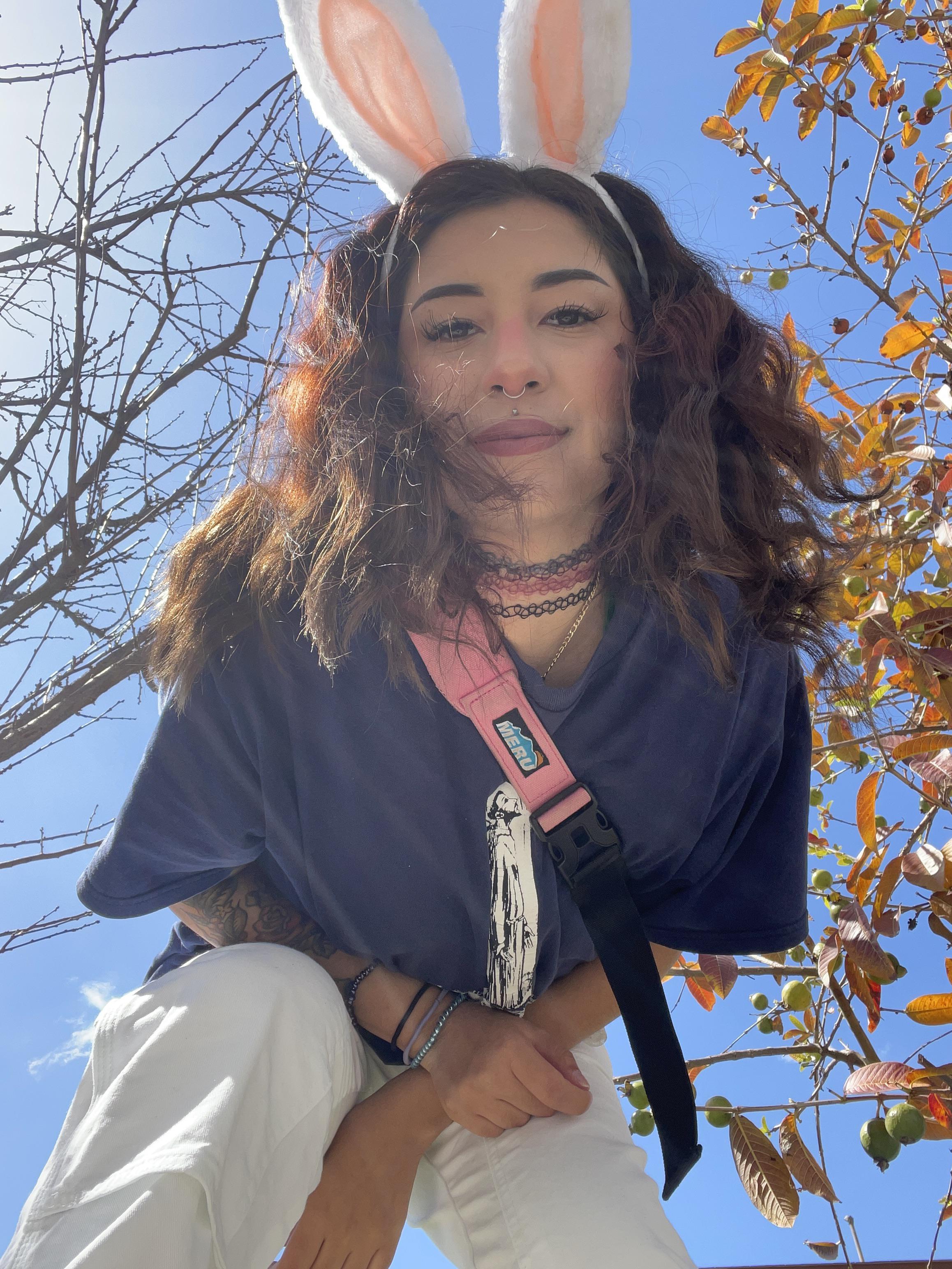 spring time and blind - fiddlehead (F23) | Scrolller