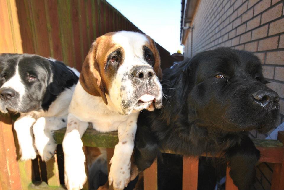 Squad goals | Scrolller