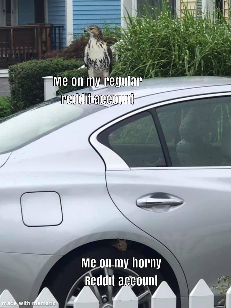 Squirrel Team Nut, going dark. | Scrolller