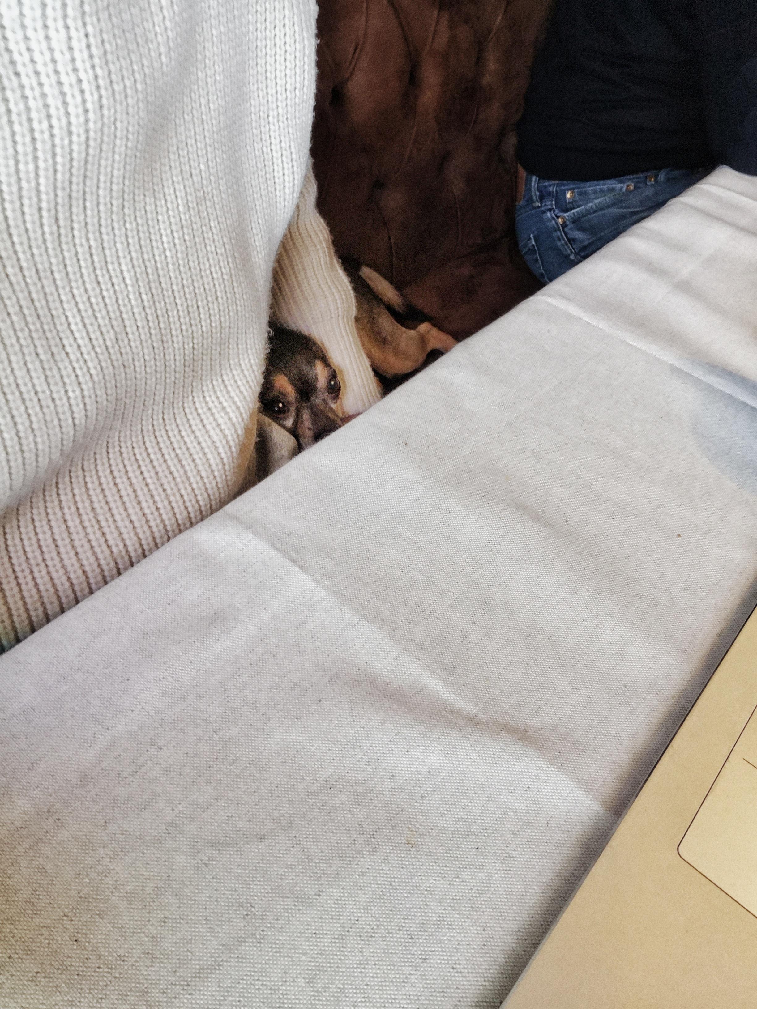 Squish peep | Scrolller