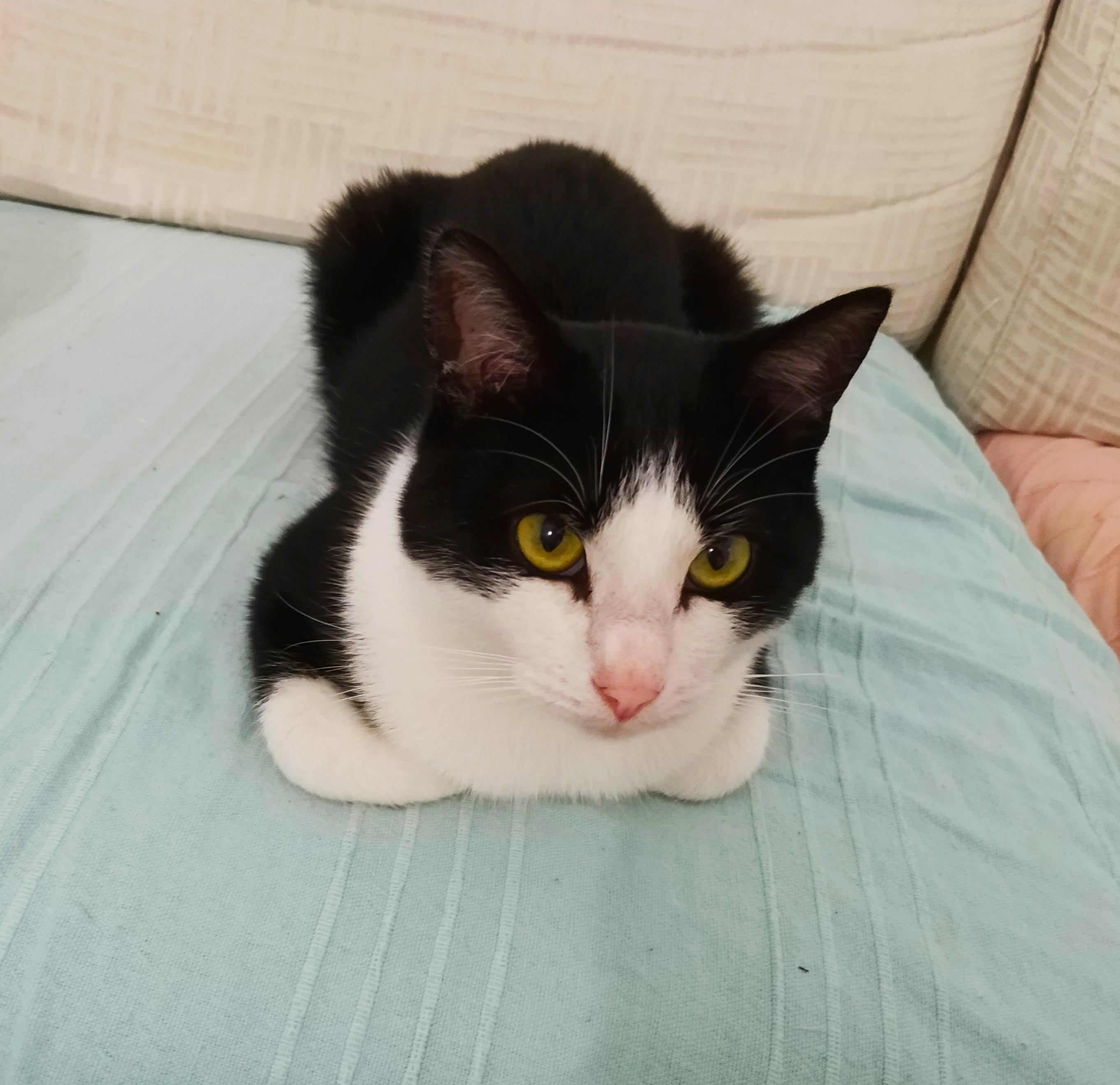 Squished Loaf | Scrolller