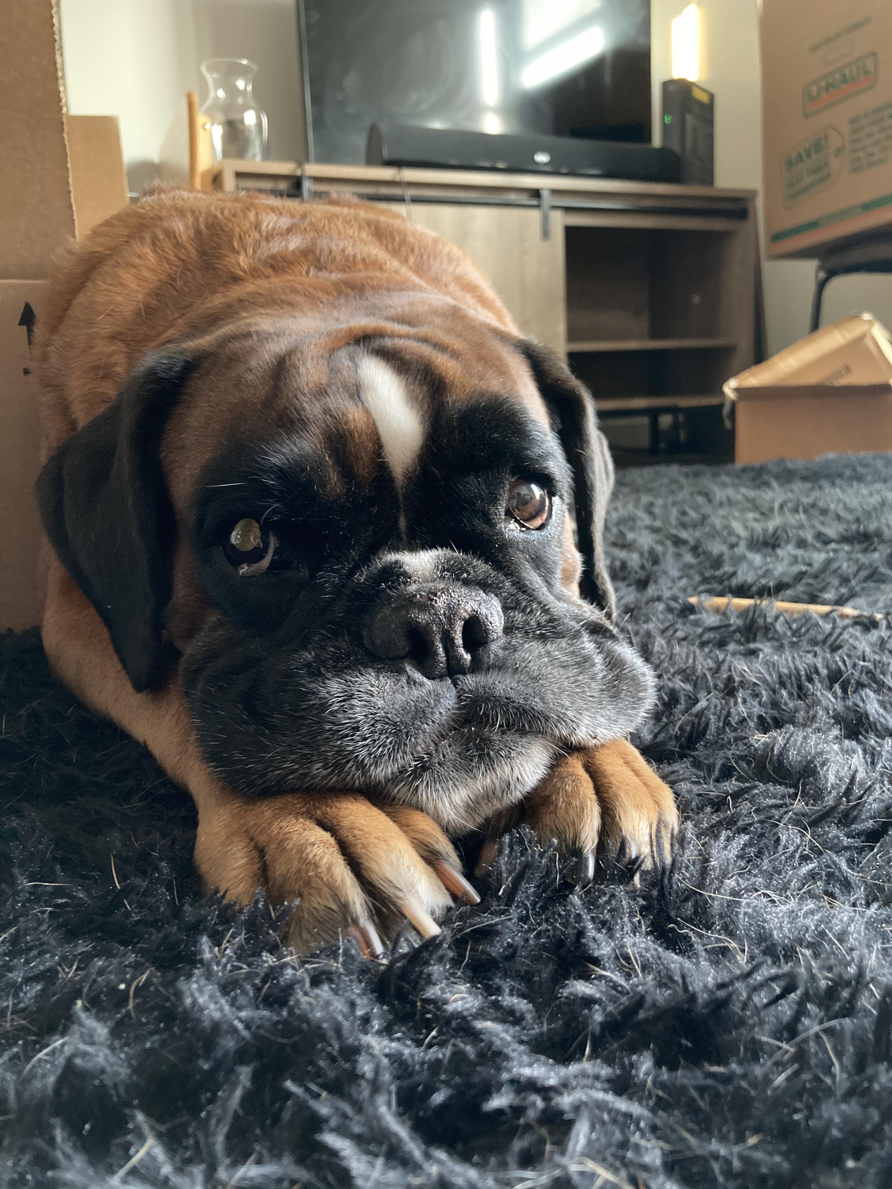 Squishy Bella | Scrolller