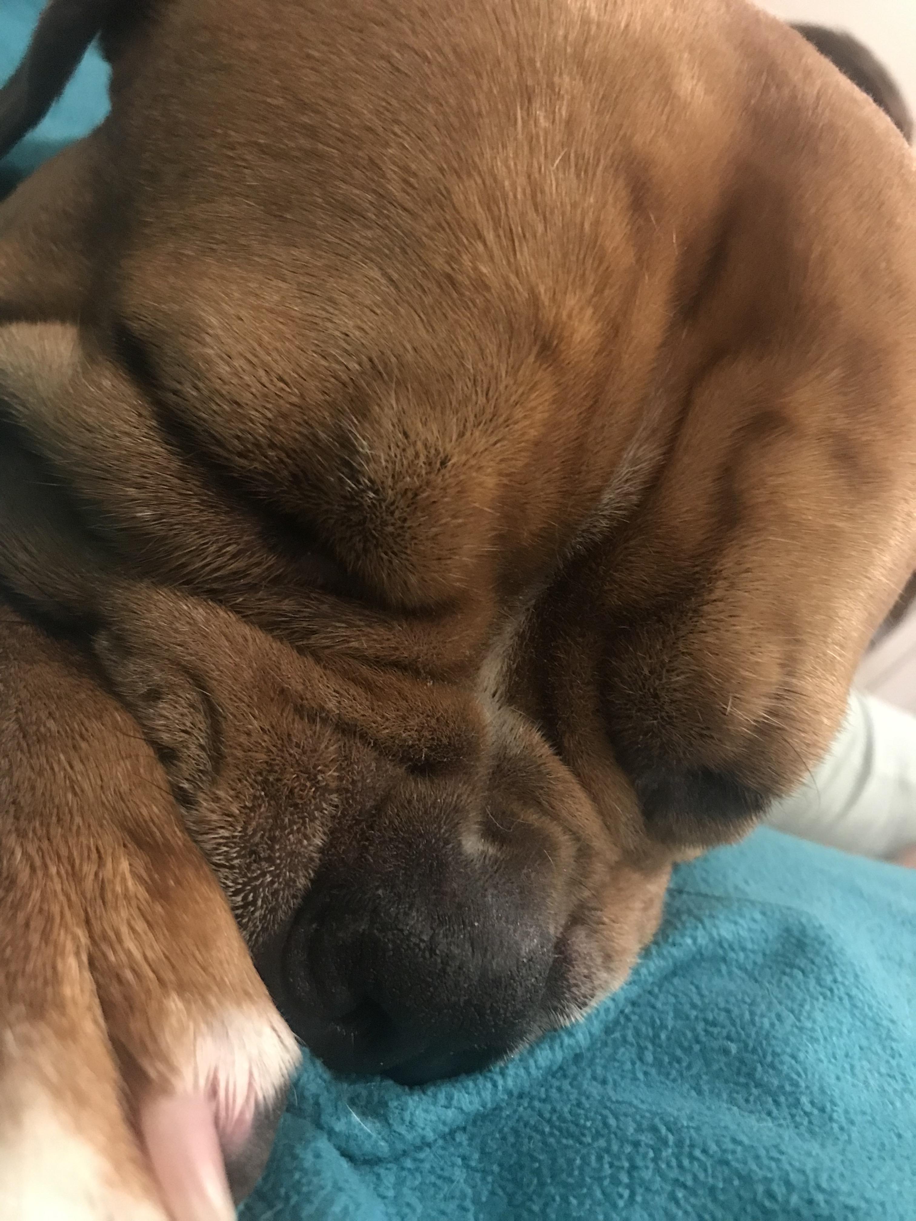 Squishy wrinkles | Scrolller