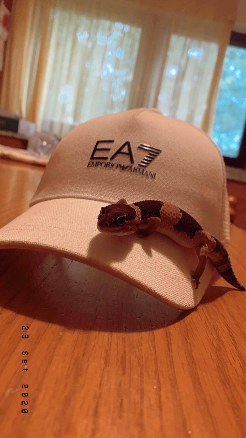 Sta scalando il monte Cappello di Armani | Scrolller