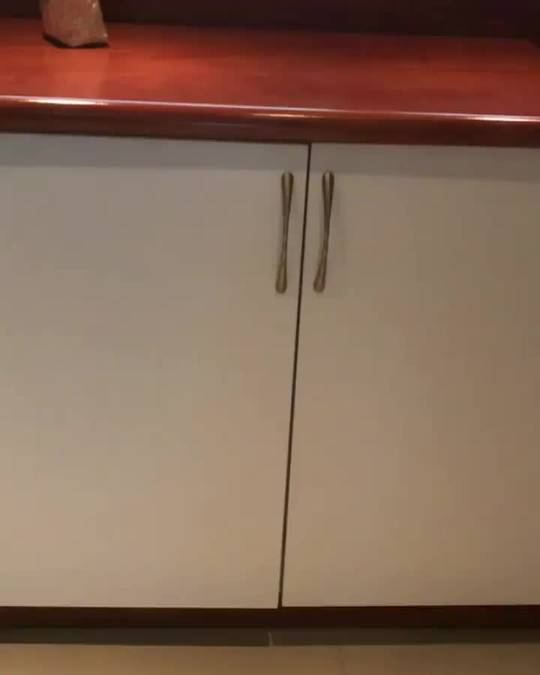 Stampede of kitties burst forth from the cat dimension | Scrolller