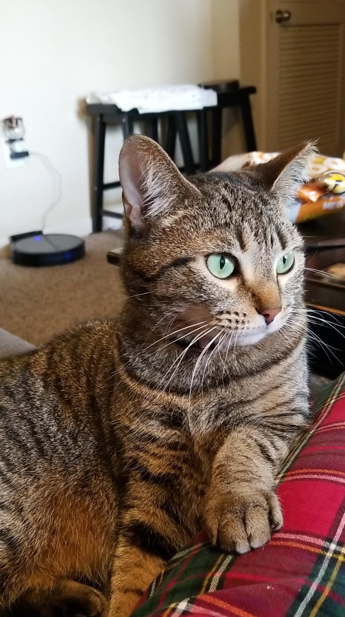 Standard Issue Lounging | Scrolller