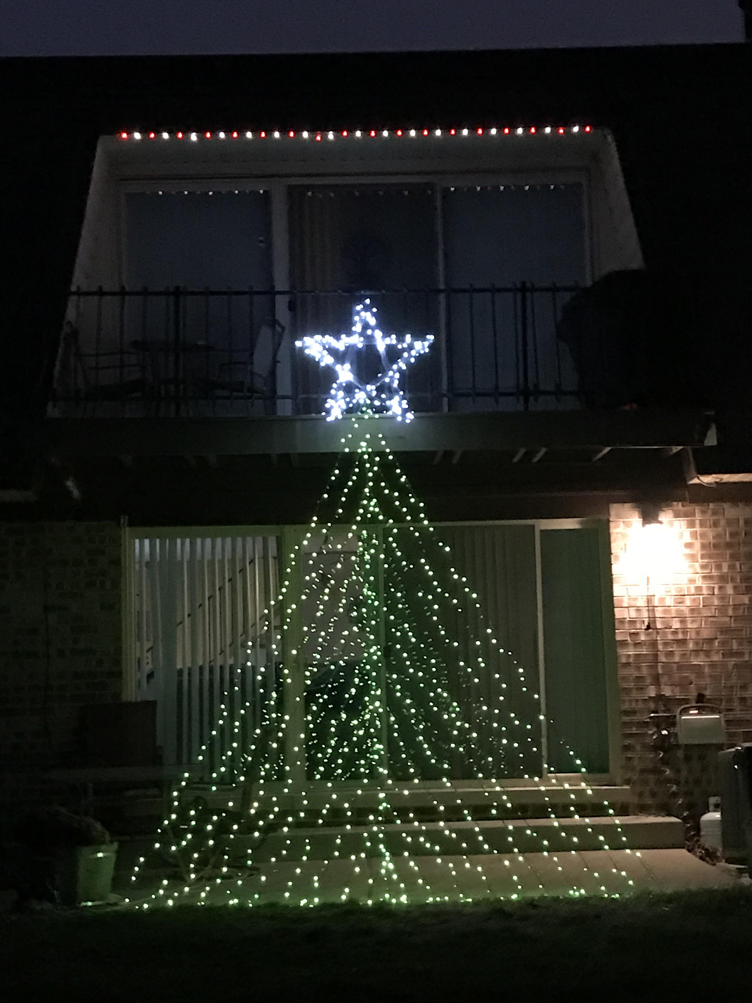 Started decorating - made a giant tree! | Scrolller