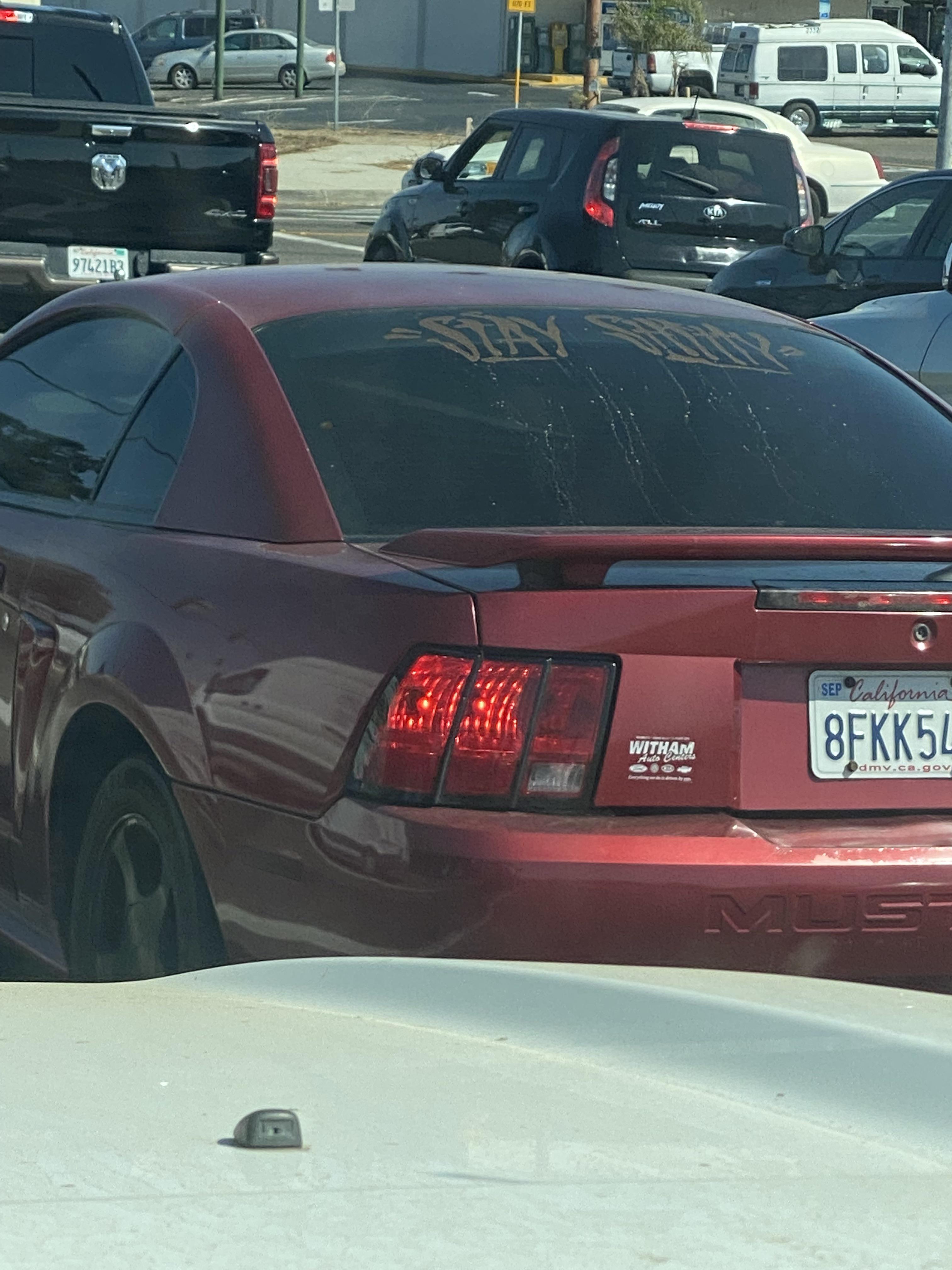 Stay Shitty looking like poo smears | Scrolller