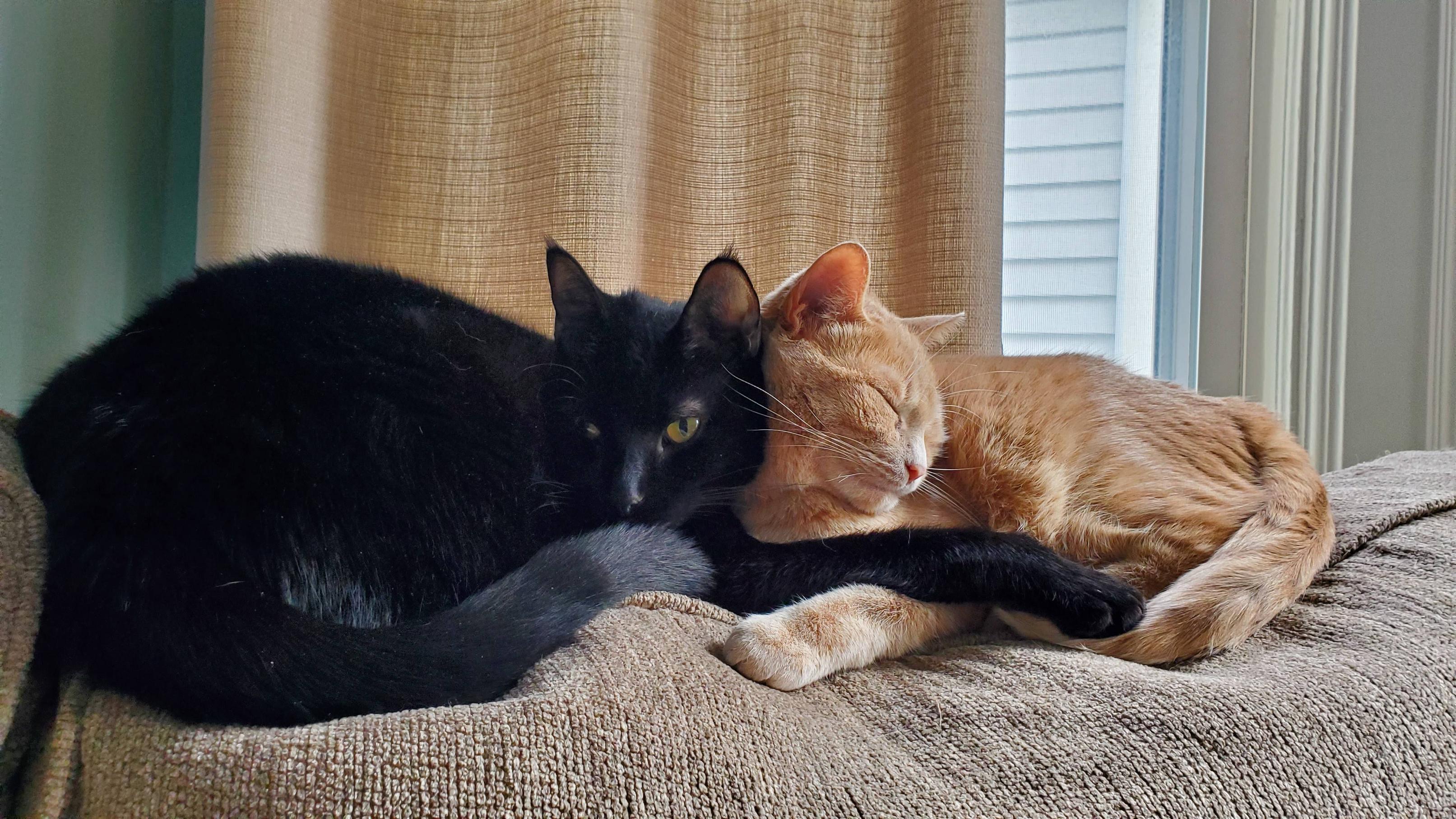 Staying warm | Scrolller