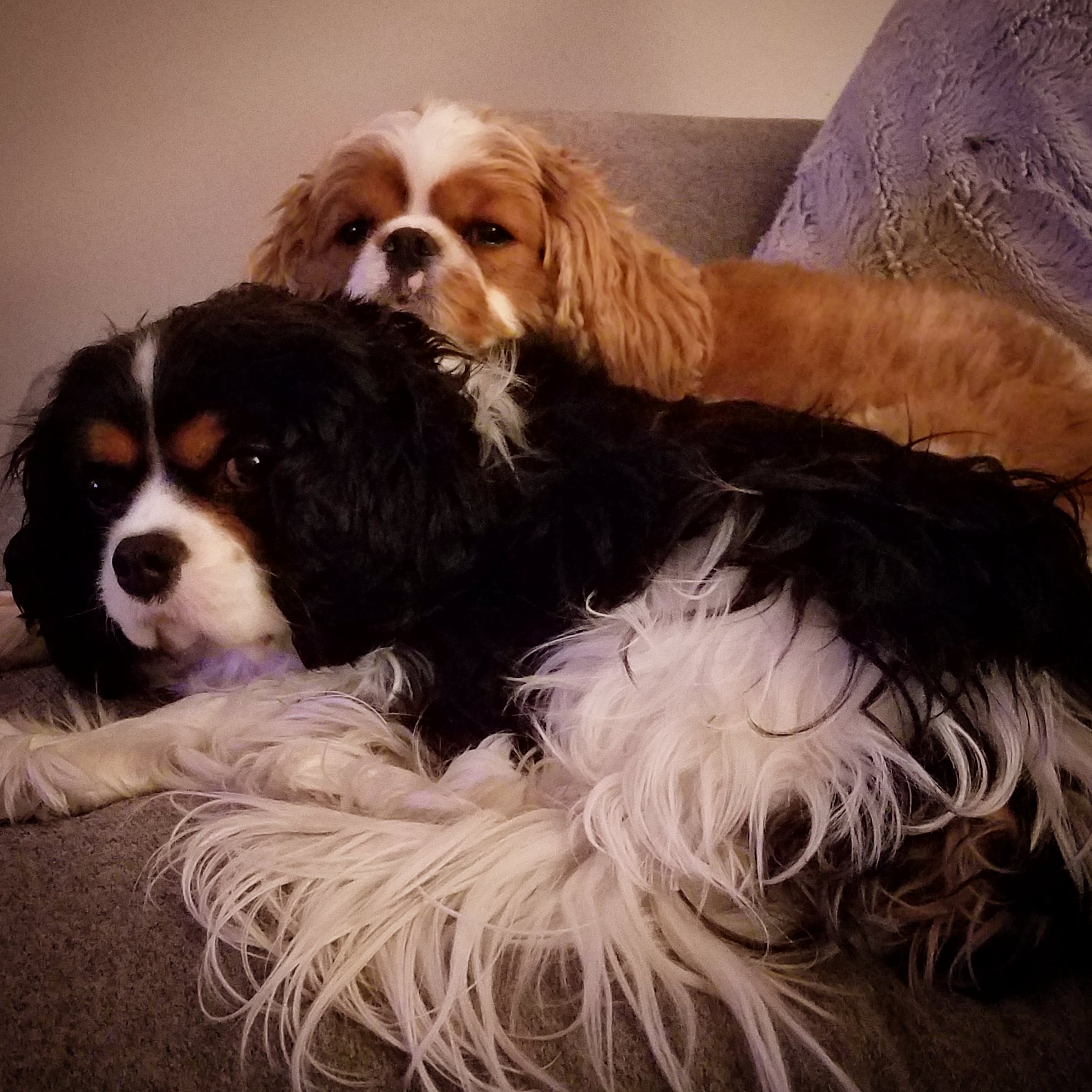 Staying warm! | Scrolller