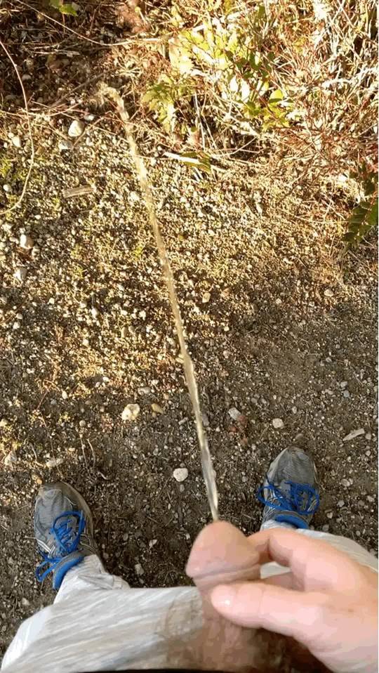 Steady Stream | Scrolller