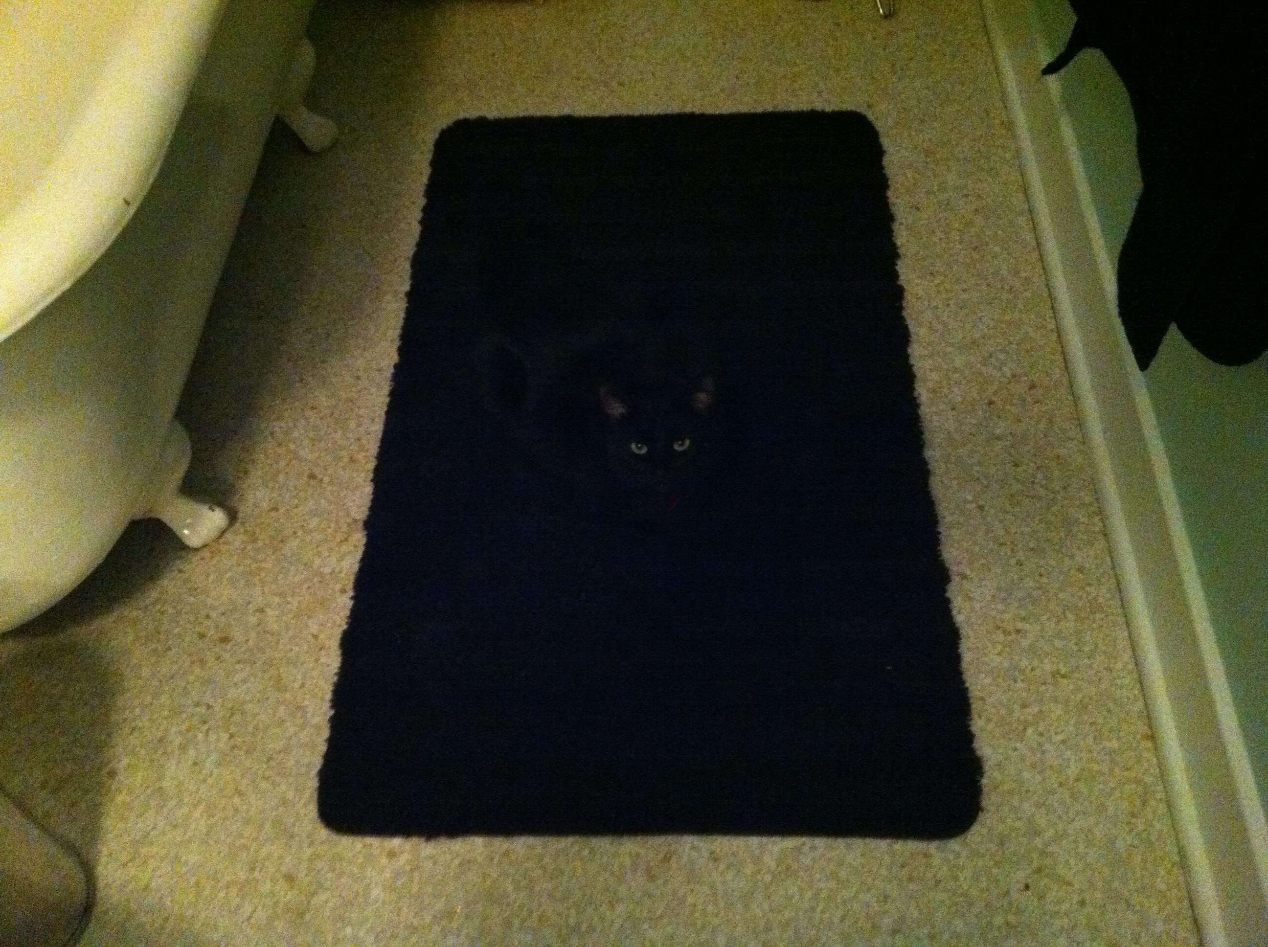 Discover more like VoidCats: Step into the Void and Related Content | Scrolller