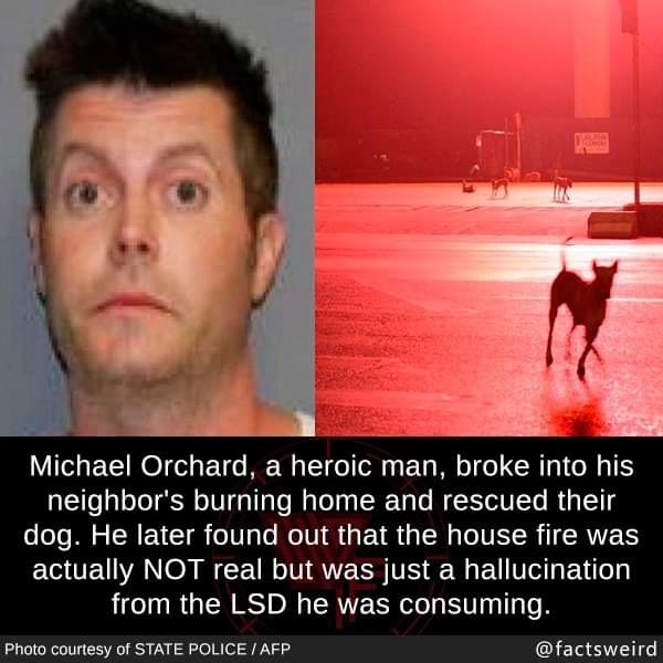 Still a hero? | Scrolller