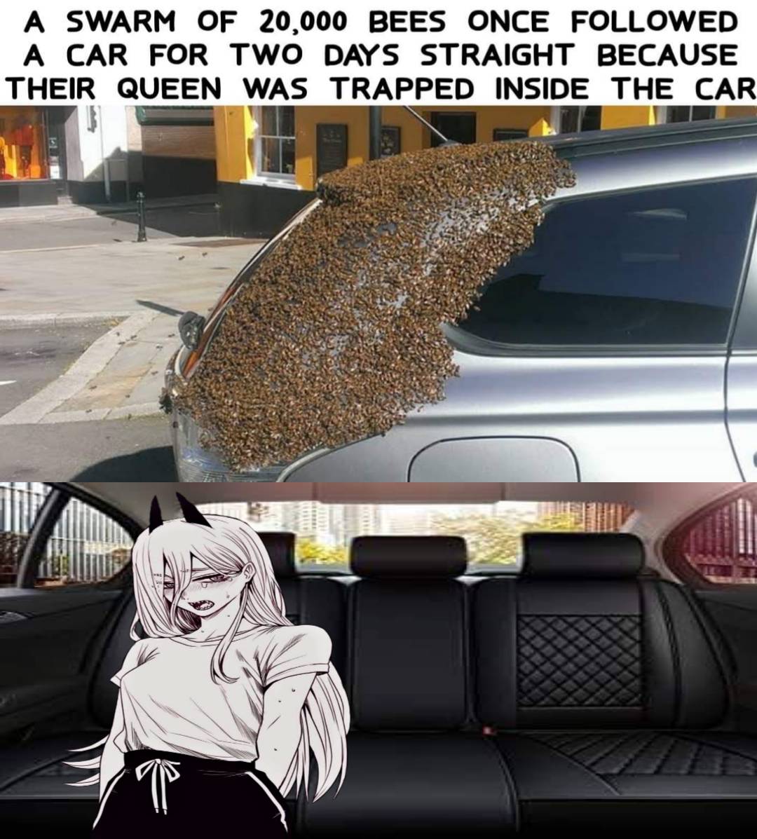 Stinky power | Scrolller