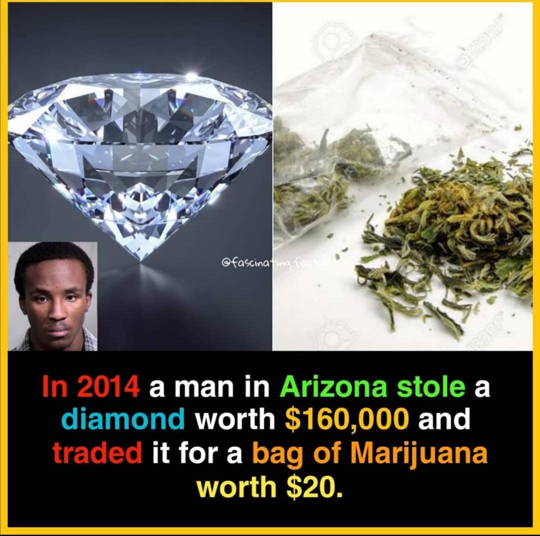 Stoner mindset | Scrolller