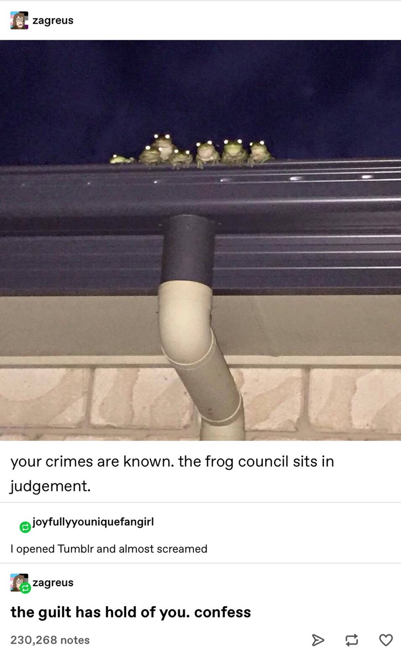 Stop, criminal scum! | Scrolller