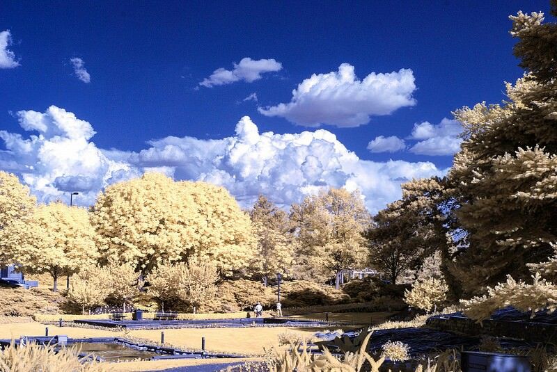 Storm Brewing | Scrolller