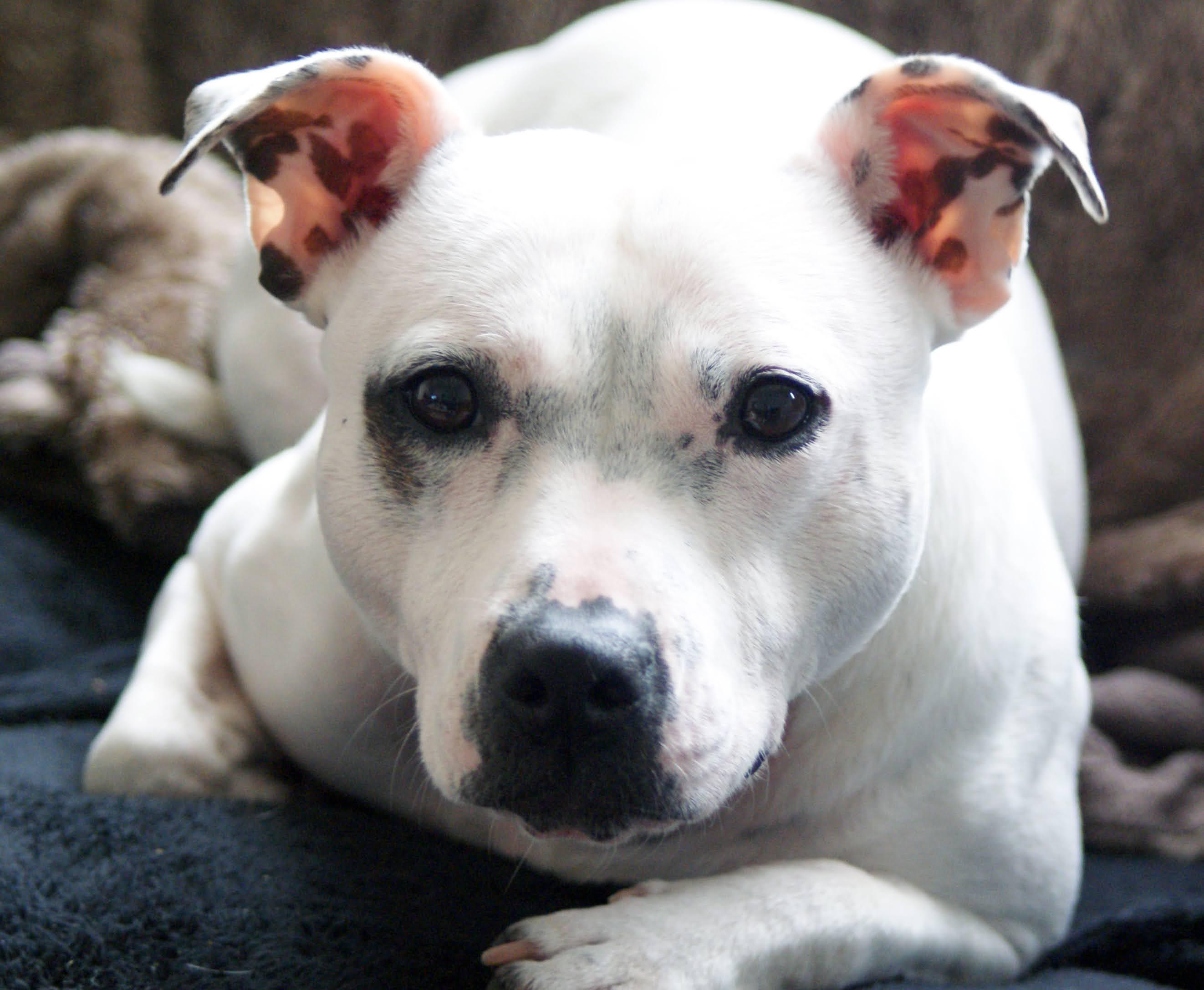 Strike a pose 😍 she is so young here! | Scrolller