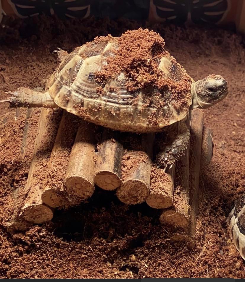 Strike a pose ! This is Dave doing his thing ️ | Scrolller